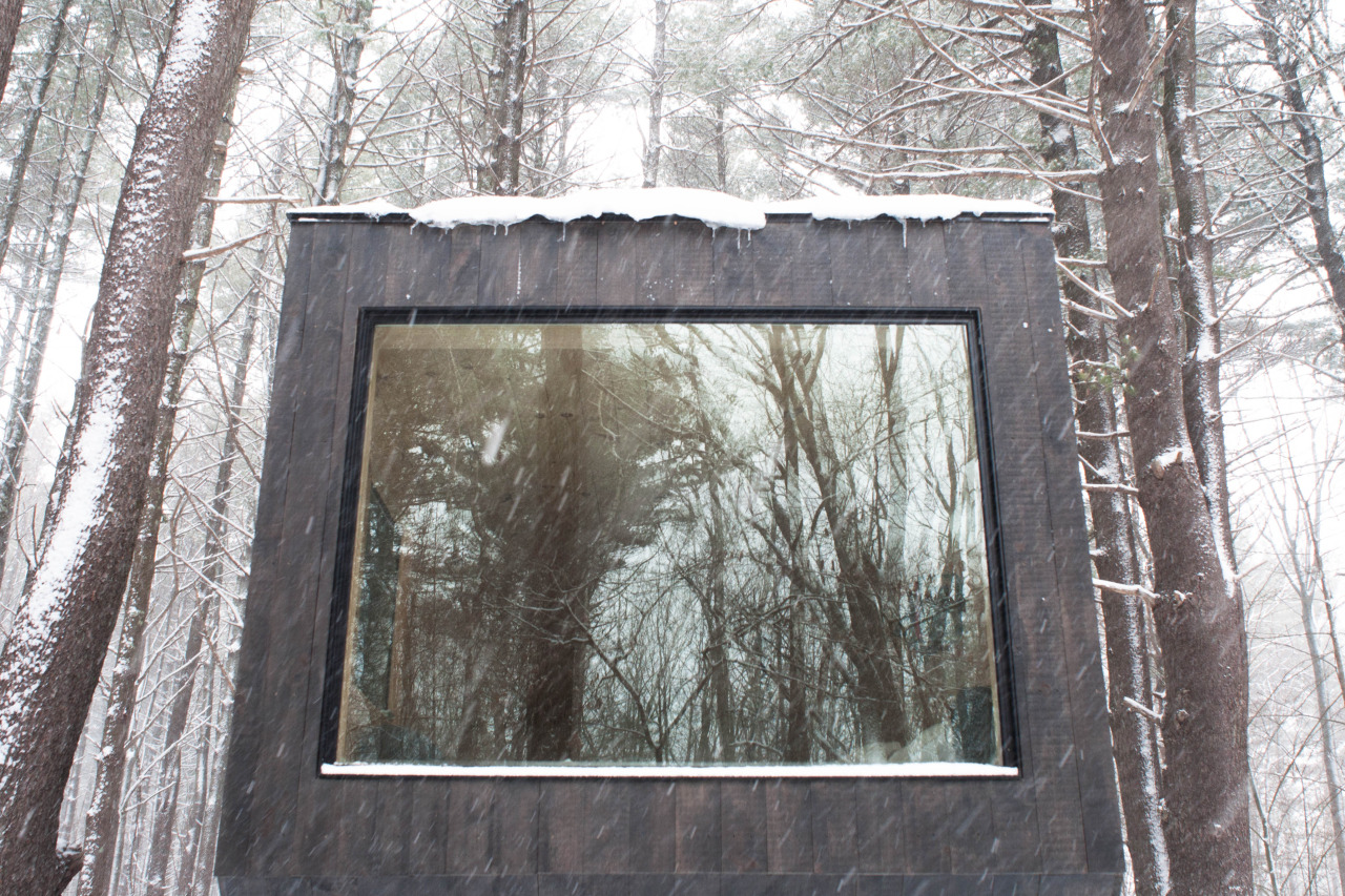 Why Being In Nature Offers Health Benefits | Getaway