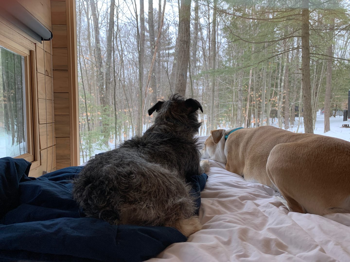 A Family Adventure to Getaway Blake Brook - The Journal by Postcard Cabins