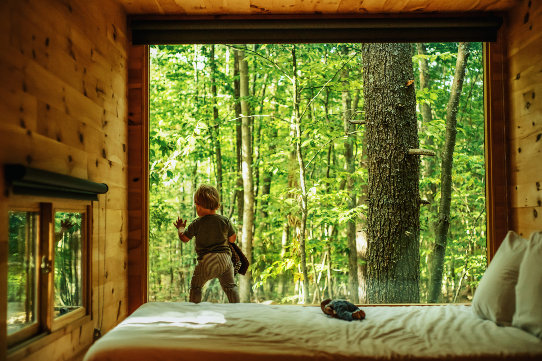 Explore Postcard Cabins Barber Creek - The Journal by Postcard Cabins