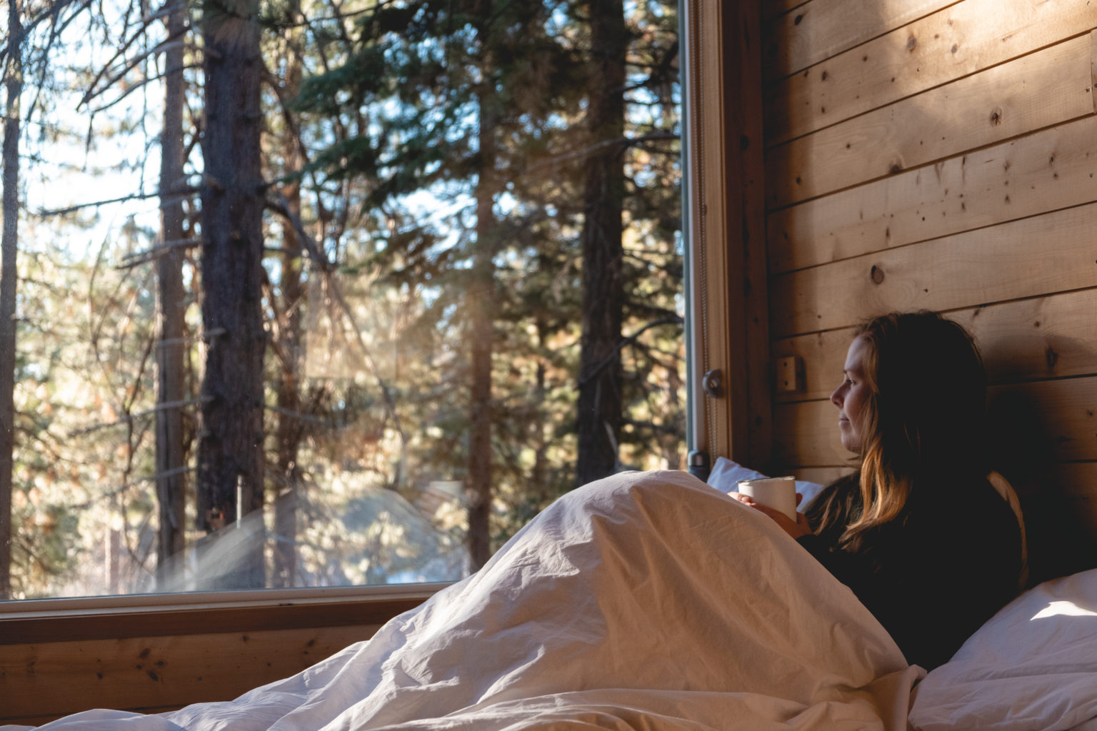Nashville Archives - The Journal by Postcard Cabins