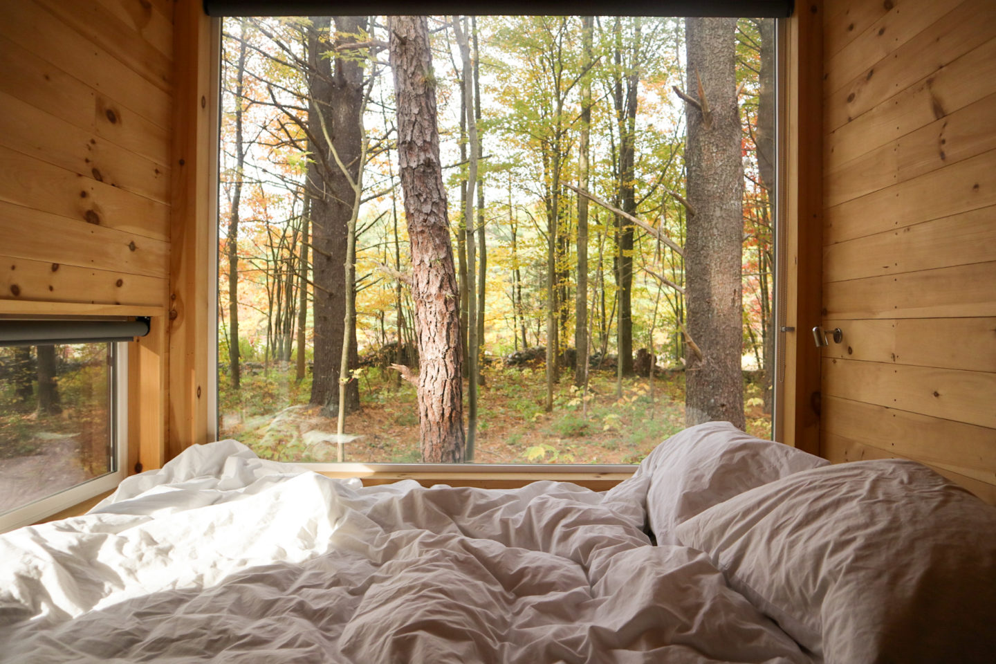 Explore Postcard Cabins Homochitto - The Journal by Postcard Cabins